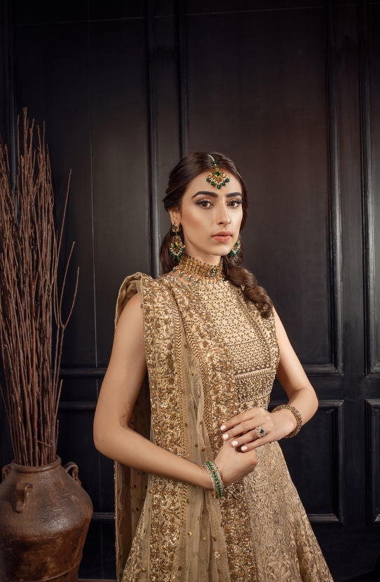 HSY Bridal Dresses {2023 Collection} New Arrivals with Details